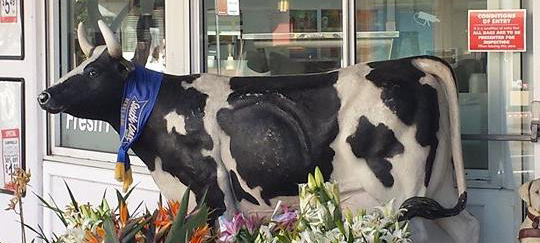 Berry IGA Plus Liquor - Berry, South Coast NSW
